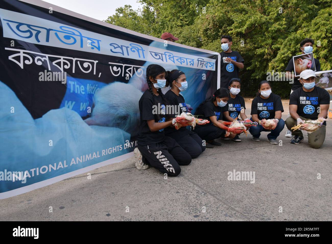 Kolkata, India. 04th June, 2023. Animal rights activists hold dead ...