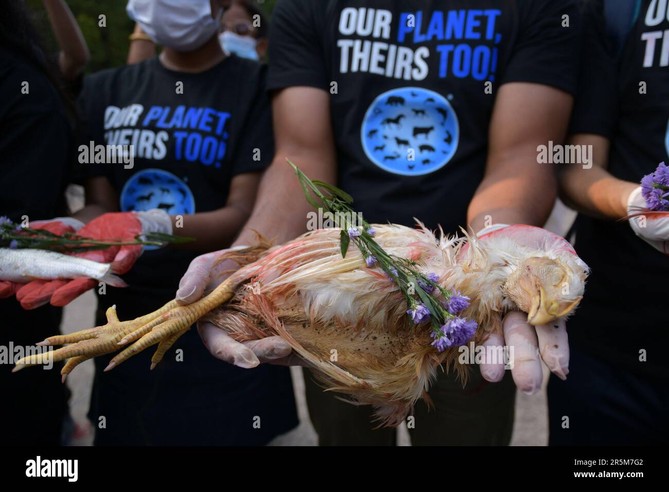 Kolkata, India. 04th June, 2023. Animal rights activist holds a dead ...