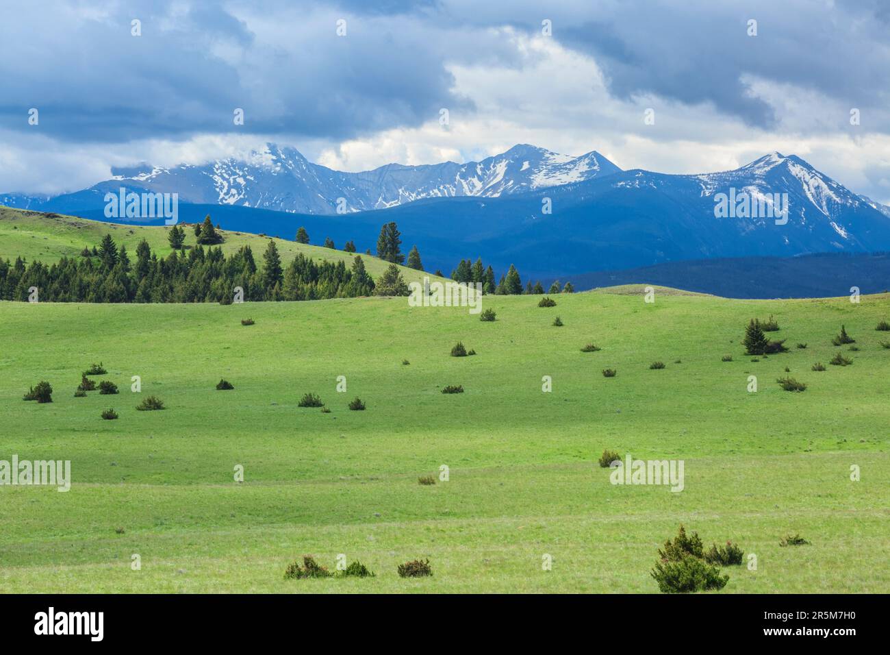 flint creek range and foothill meadows near garrison, montana Stock ...