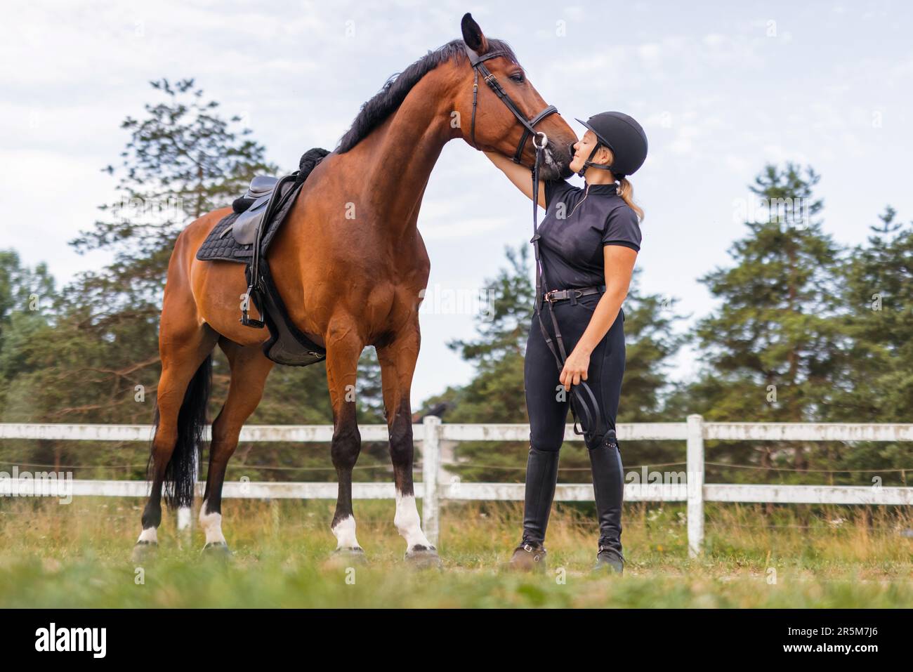 Woman with a black helmet stroking a beautiful chestnut horse head ...