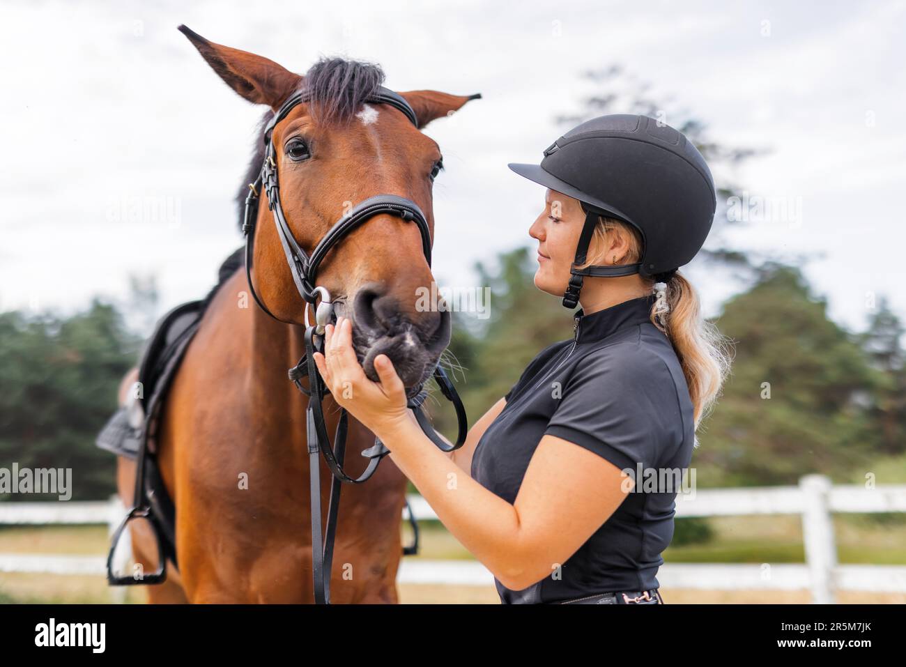 Female rider hand gently caressing beautiful thick red horse mane ...