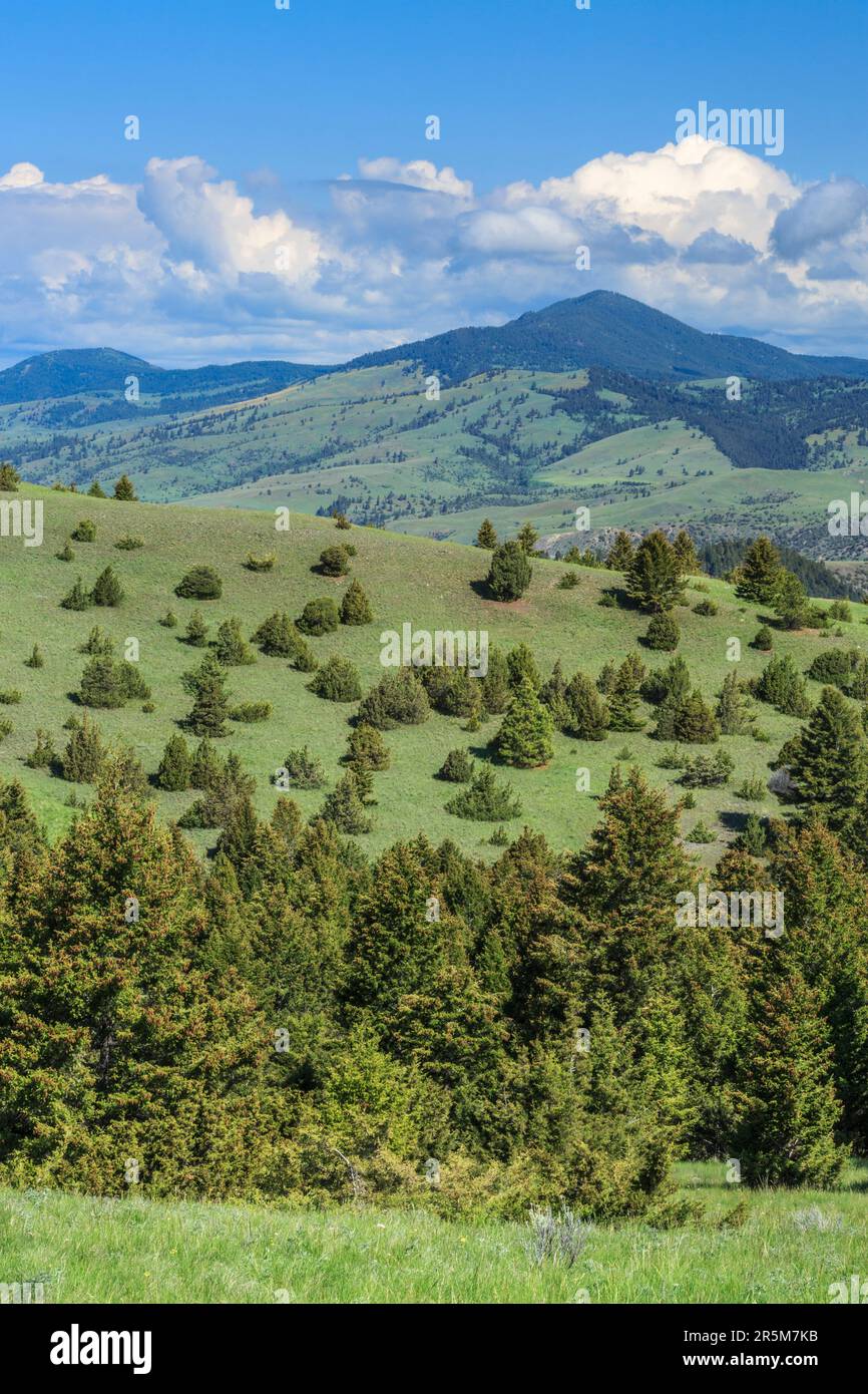 Garnet mountain hi-res stock photography and images - Alamy