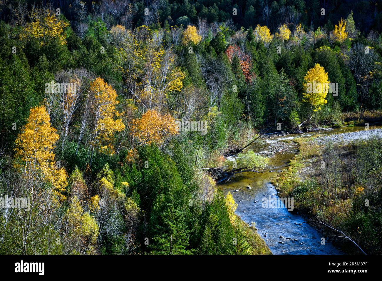 Aerial view high park in toronto hi-res stock photography and images ...
