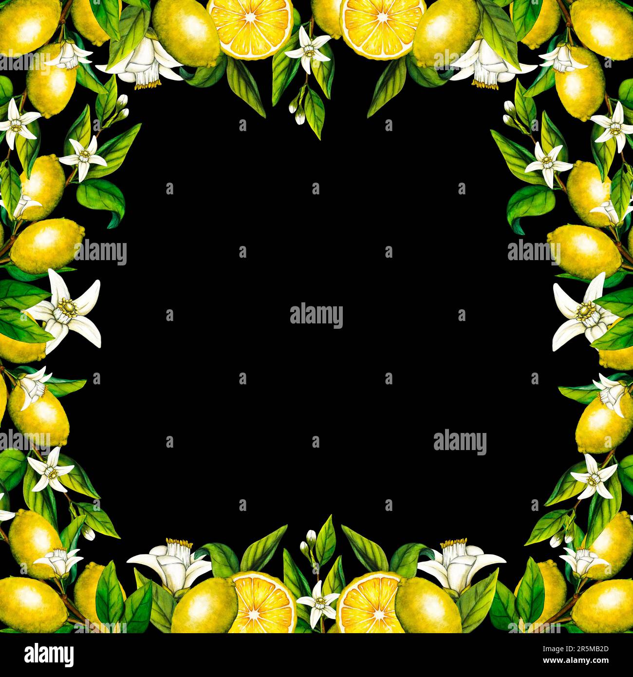 Watercolor frame lemon tree branch with flowers isolated on black ...