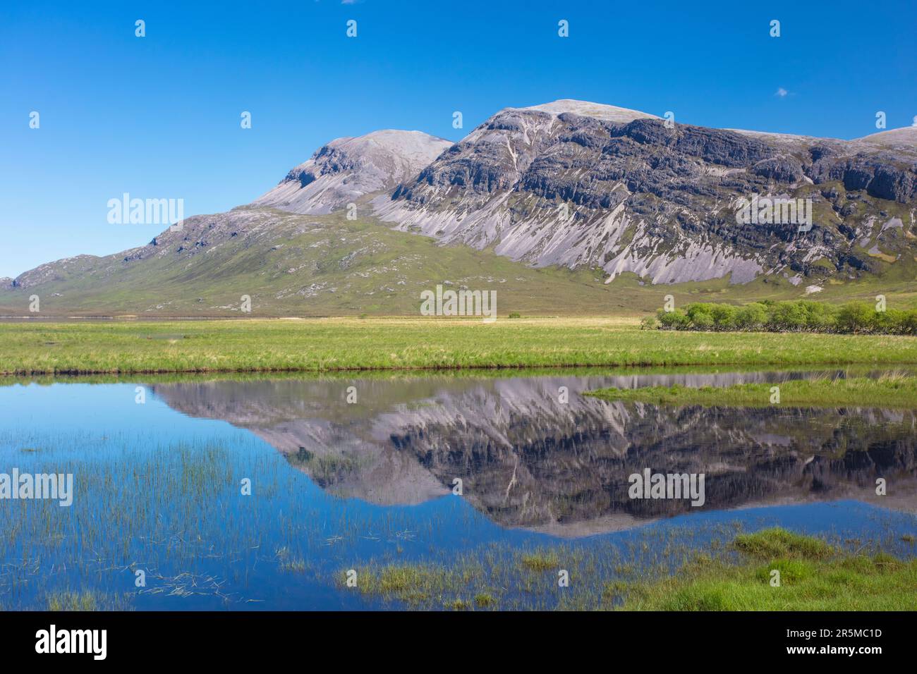 Arkle is a magnificent mountain: a shattered, curving ridge of ...