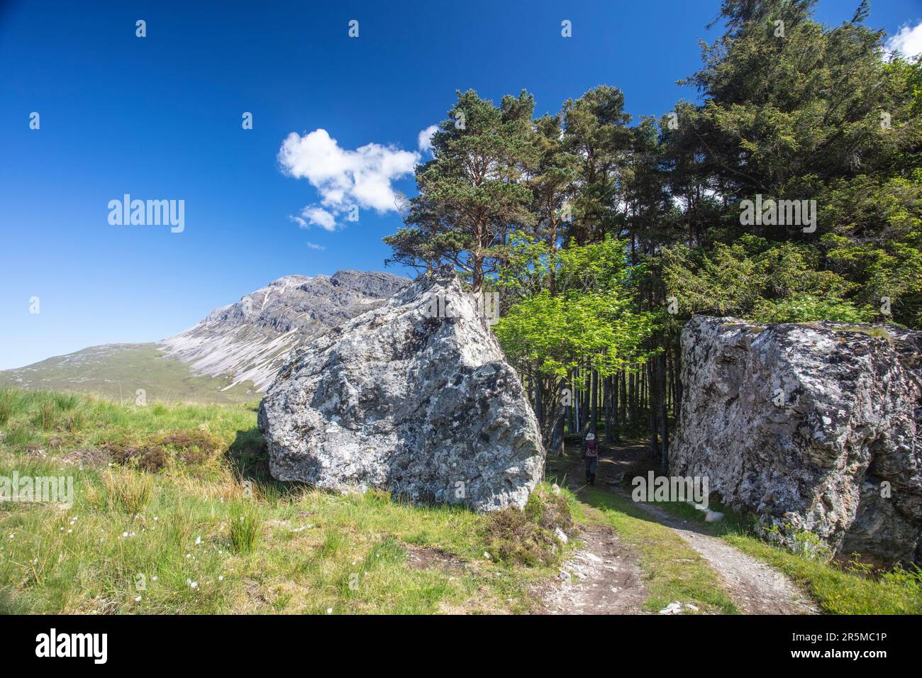 Arkle is a magnificent mountain: a shattered, curving ridge of ...