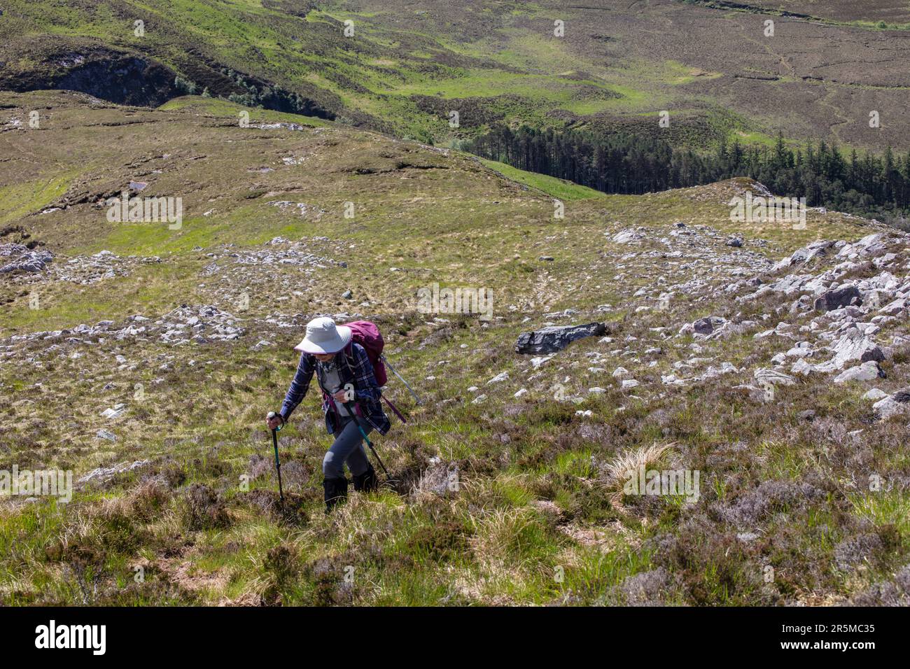 Arkle is a magnificent mountain: a shattered, curving ridge of ...