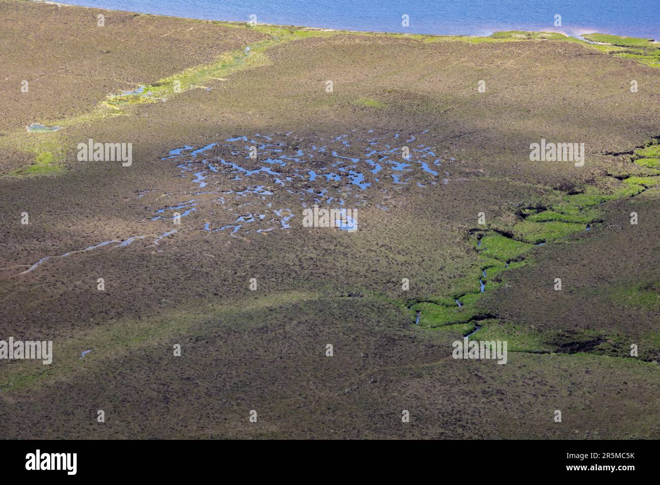 Arkle is a magnificent mountain: a shattered, curving ridge of ...