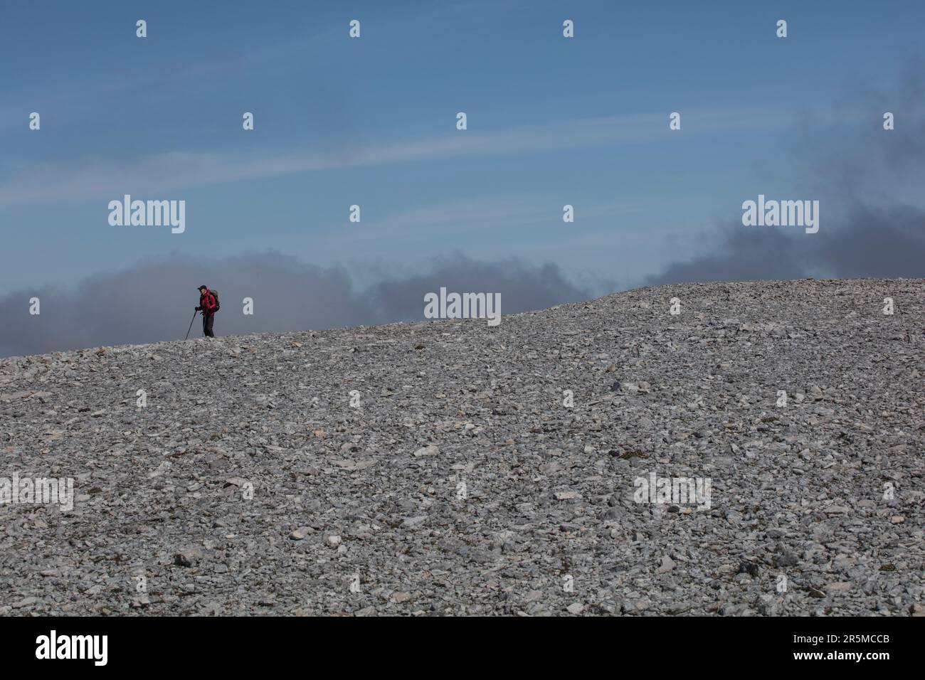 Arkle is a magnificent mountain: a shattered, curving ridge of ...