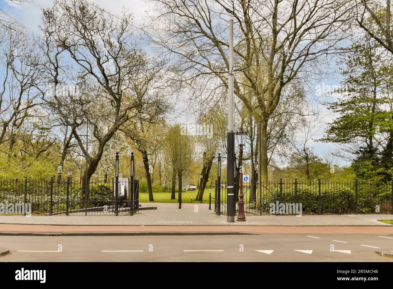 a park with trees in the background and white lines painted on the ...