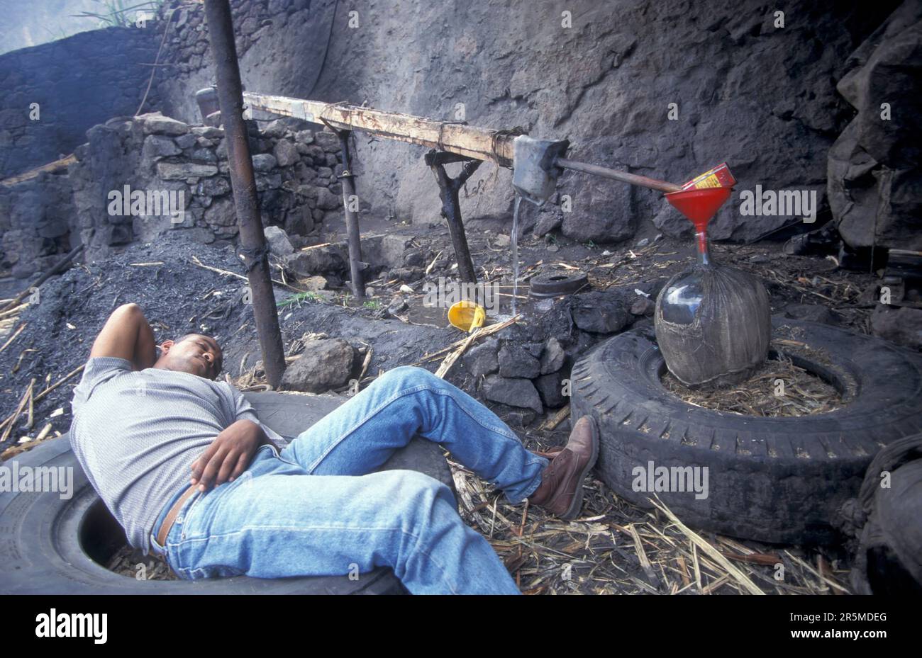 a men wort at a rum distellery at a sugar cane Plantation near the town ...