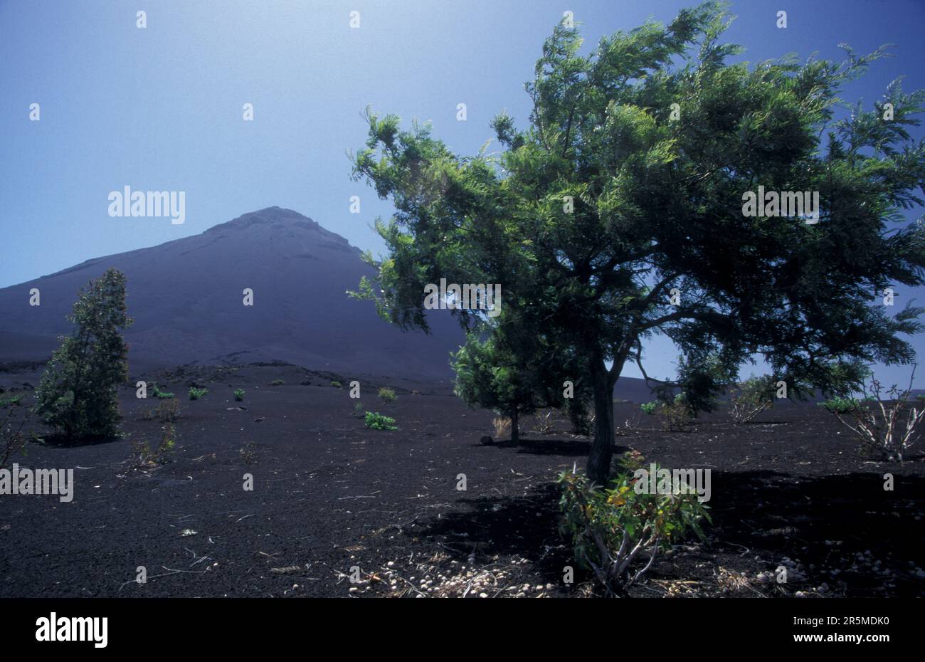 the Landscape with the Volcano and Mt Fogo on the Island of Fogo on the ...