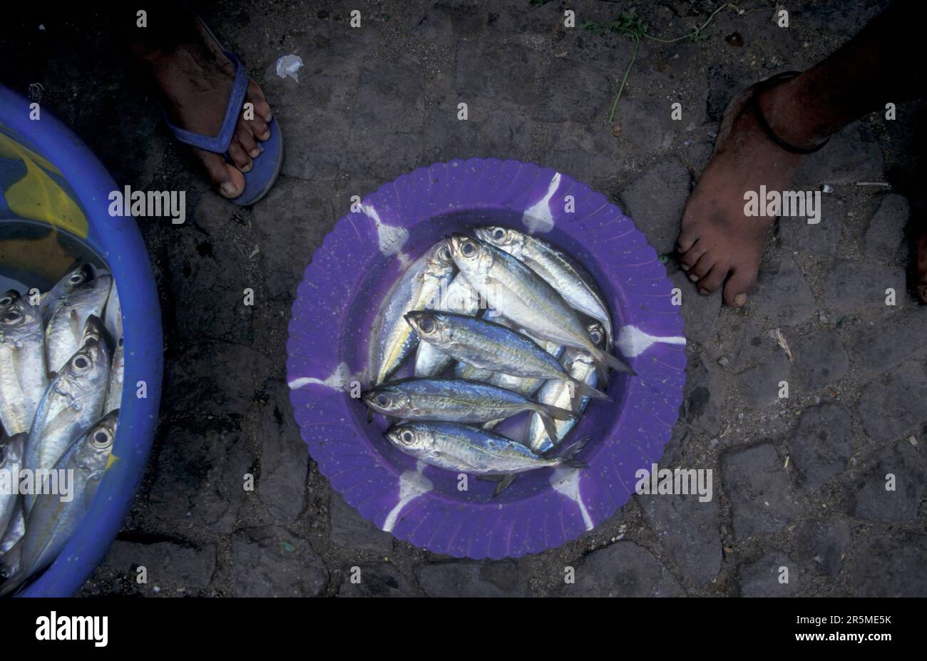 fresh fish at the Fishmarket in the City Mindelo on the Island of Sao ...