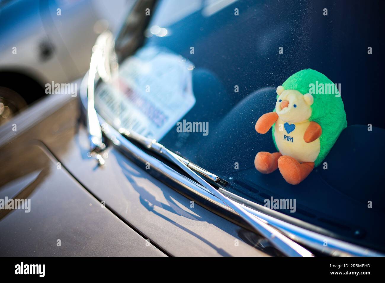 02 Amanda MILLE, Mila BEY, Ferrari 250 GT Lusso 1964, during the Rallye ...