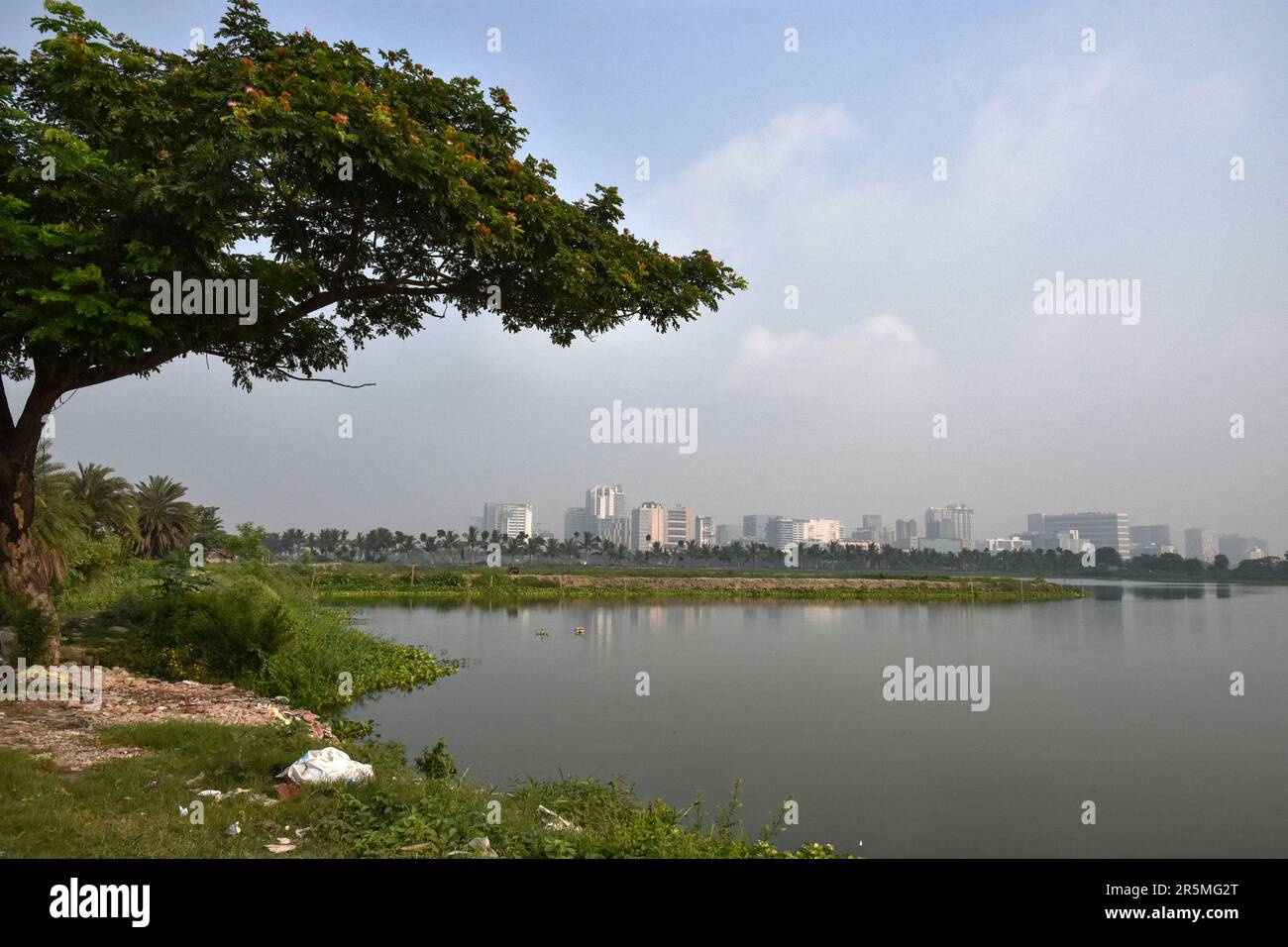 Multispeciality high-rise buildings in the Newtown area are situated on ...