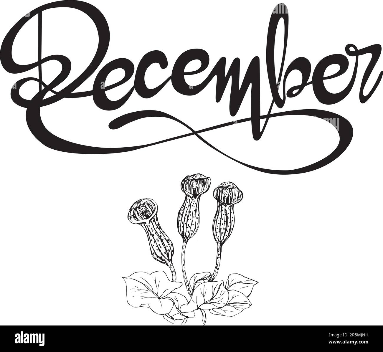 Handwritten and vectorized lettering sign "December". Graphic resource ...
