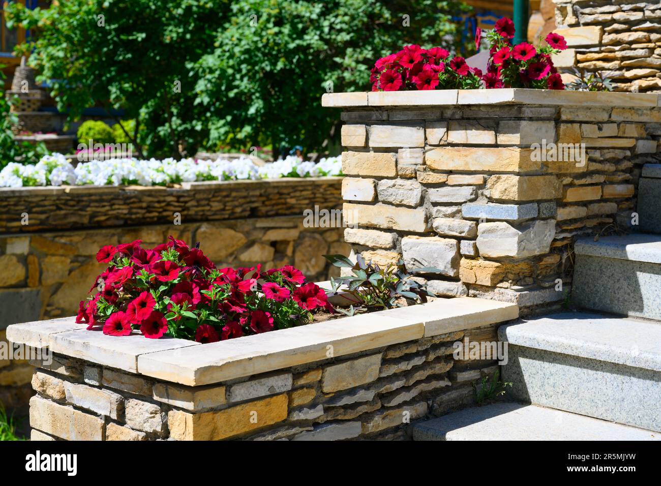 Landscaping on house stairway with flowerbeds, home landscape design. Upscale garden in summer ...