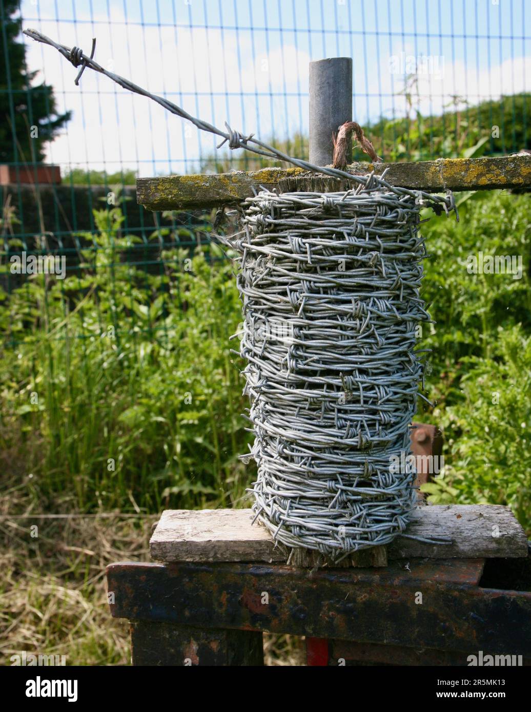 A huge coil of barbed wire in the country Stock Photo - Alamy