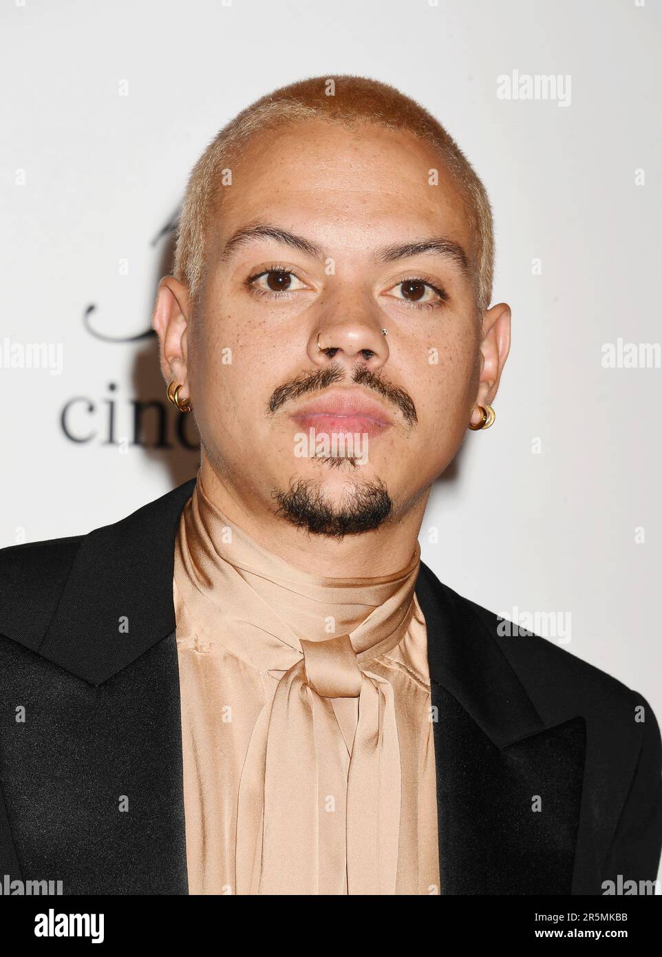 LOS ANGELES, CALIFORNIA - JUNE 02: Evan Ross attends the 30th Annual Race To Erase MS Gala at ...