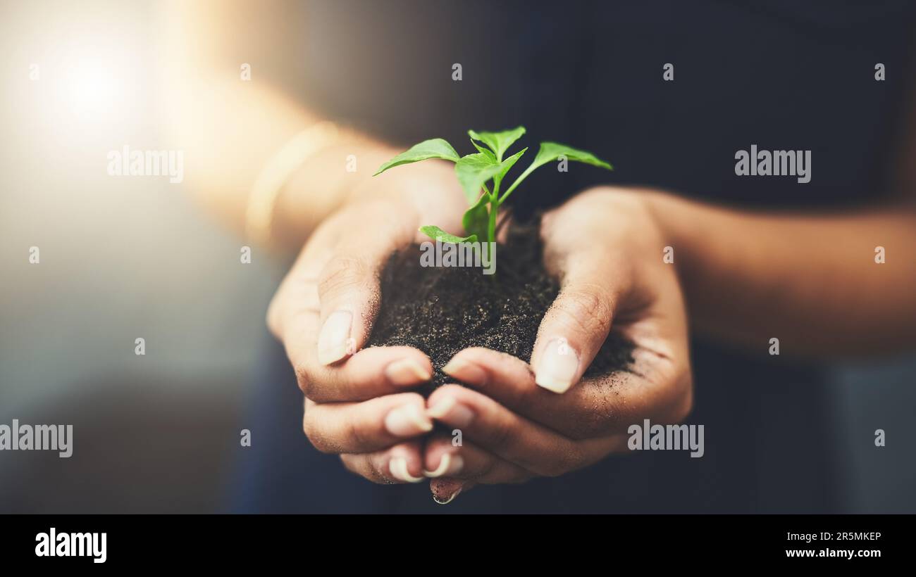To grow is to live. a woman holding a plant growing out of soil Stock ...