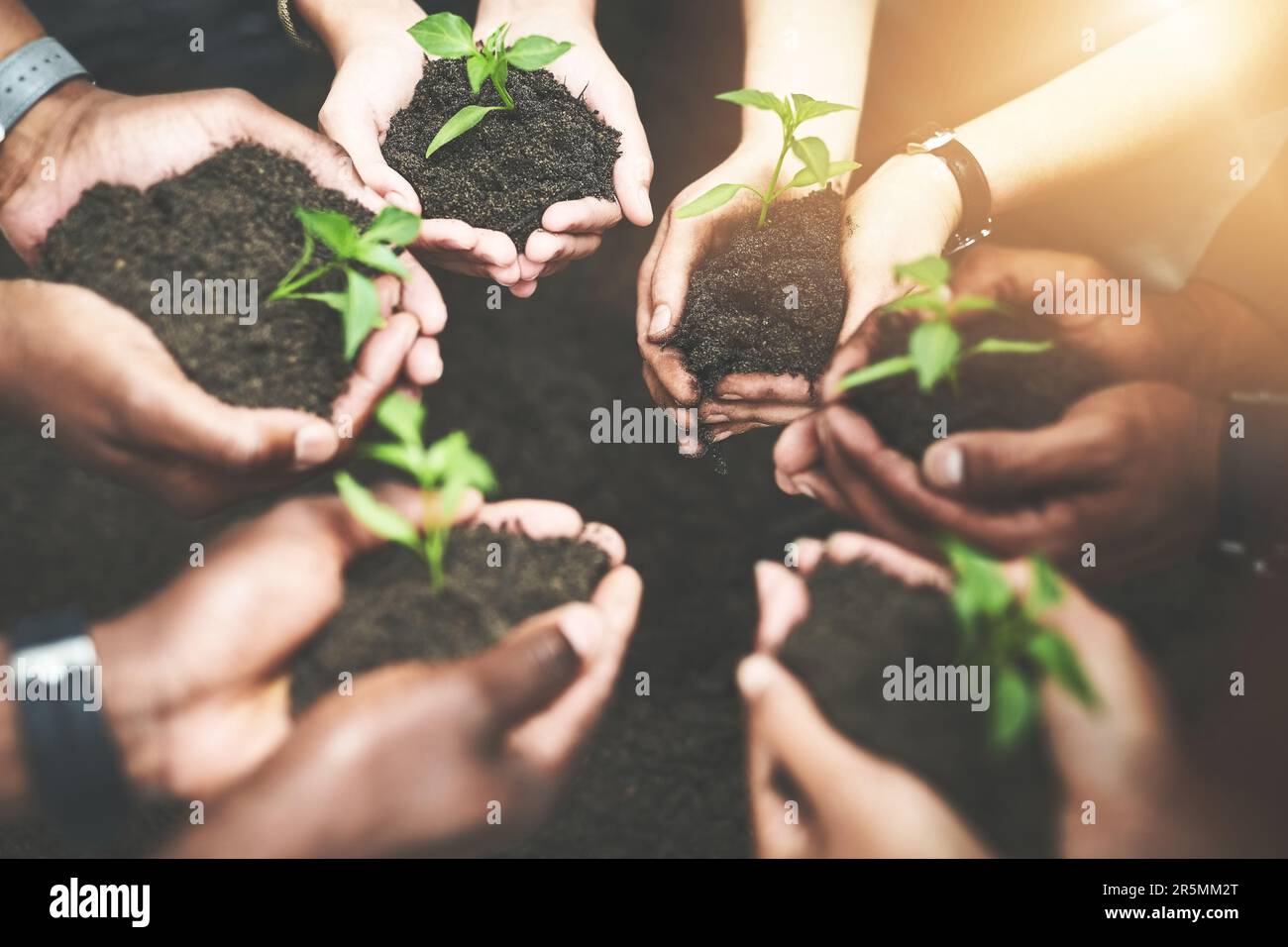 Growth is the essence of life. a group of people holding plants growing ...