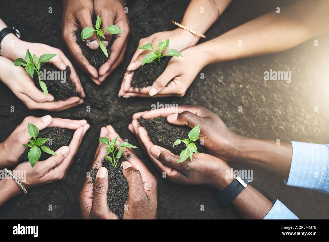 Protect our beautiful Mother Earth. a group of people holding plants ...