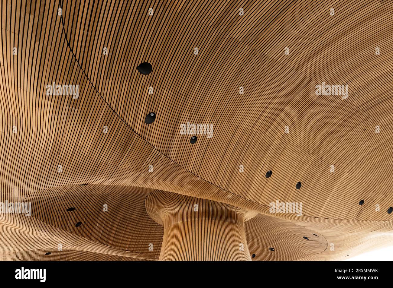 A general view inside the Senedd, home of the Welsh Parliament, in ...