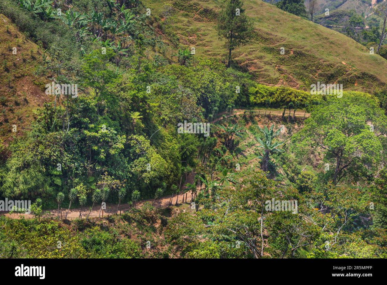 Rural honduras hi-res stock photography and images - Alamy