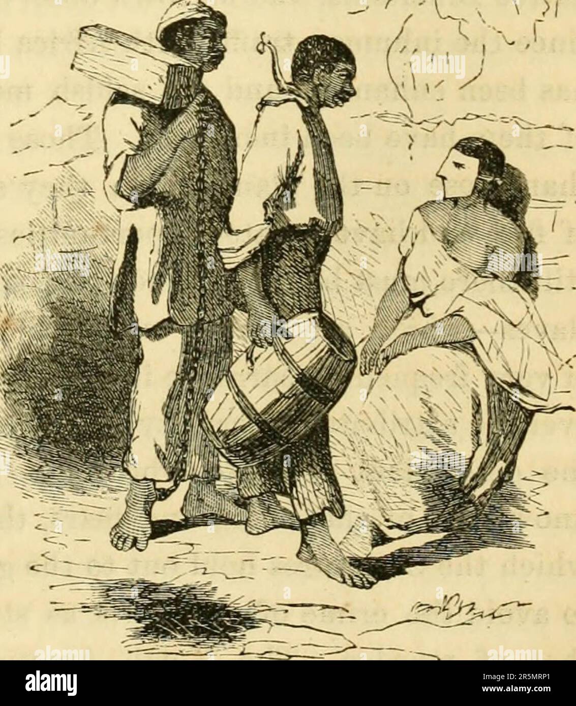 "Brazil and the Brazilians : portrayed in historical and descriptive ...