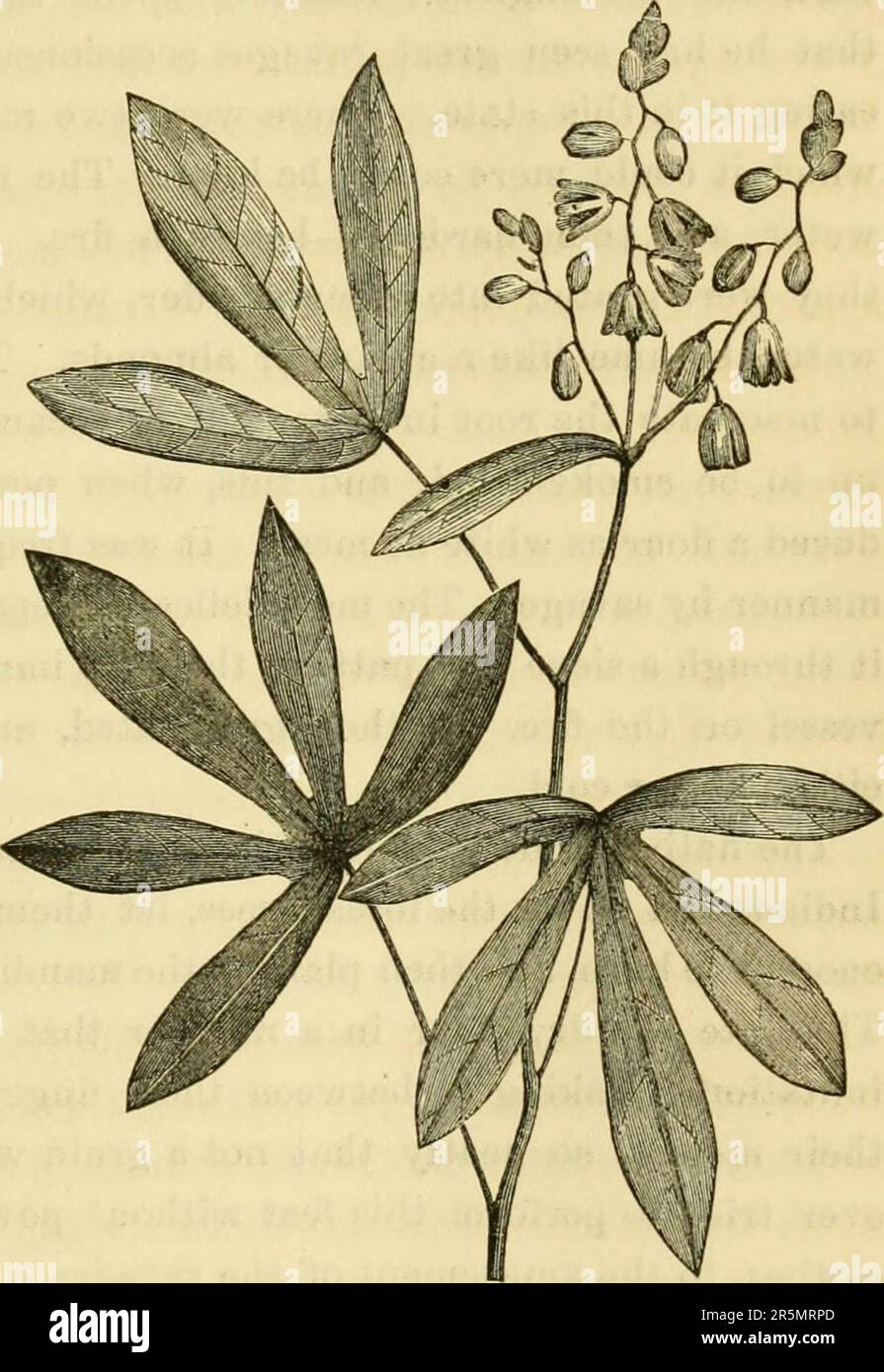 Descriptive sketches hi-res stock photography and images - Alamy