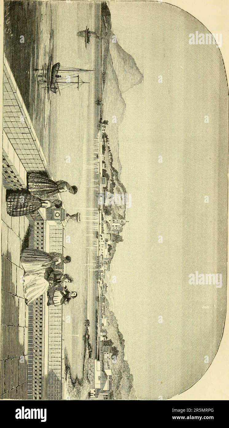 "Brazil and the Brazilians : portrayed in historical and descriptive ...