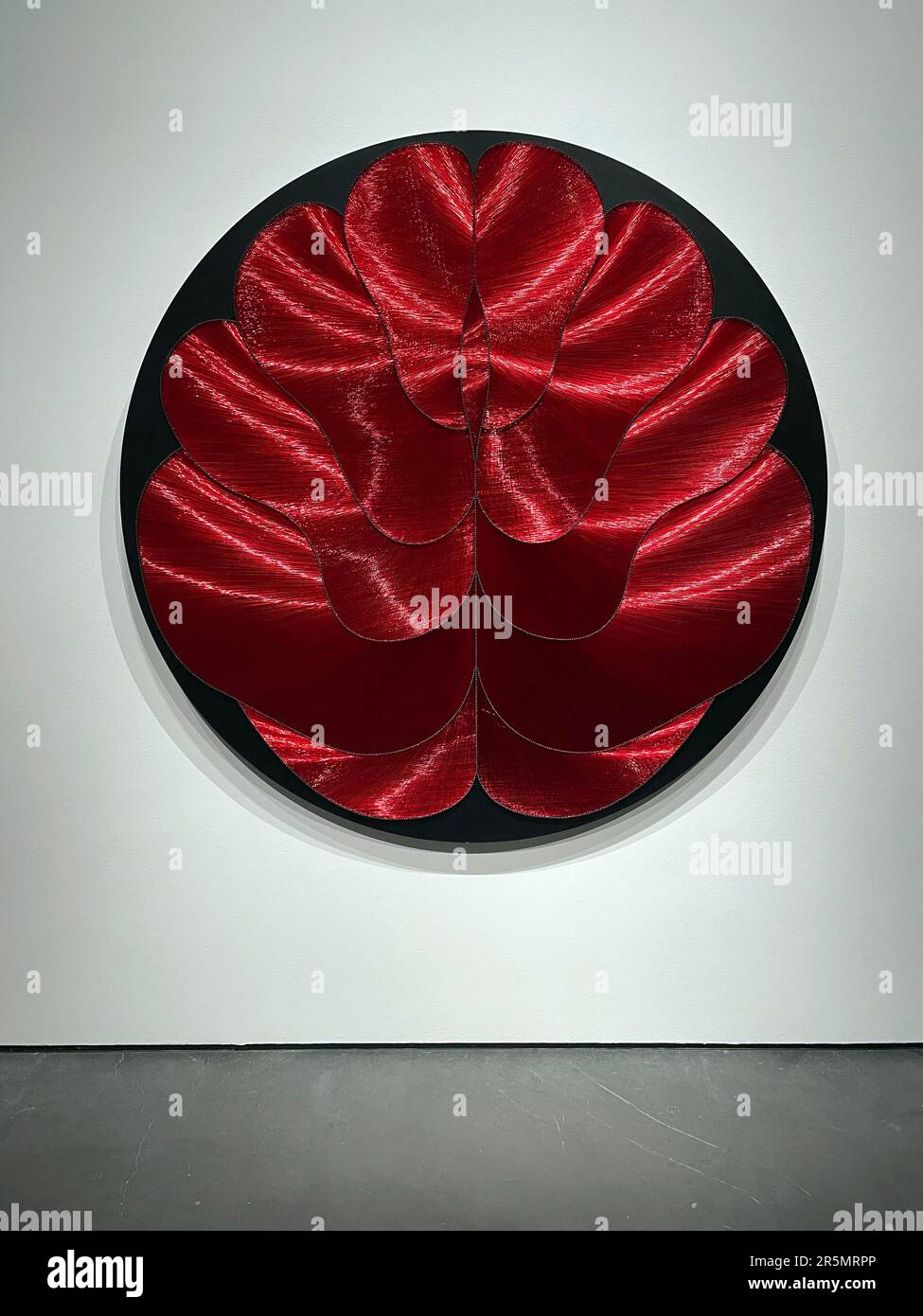 Artwork titled Red Seed by Turkish artist Gaulay Semercioglu on display ...