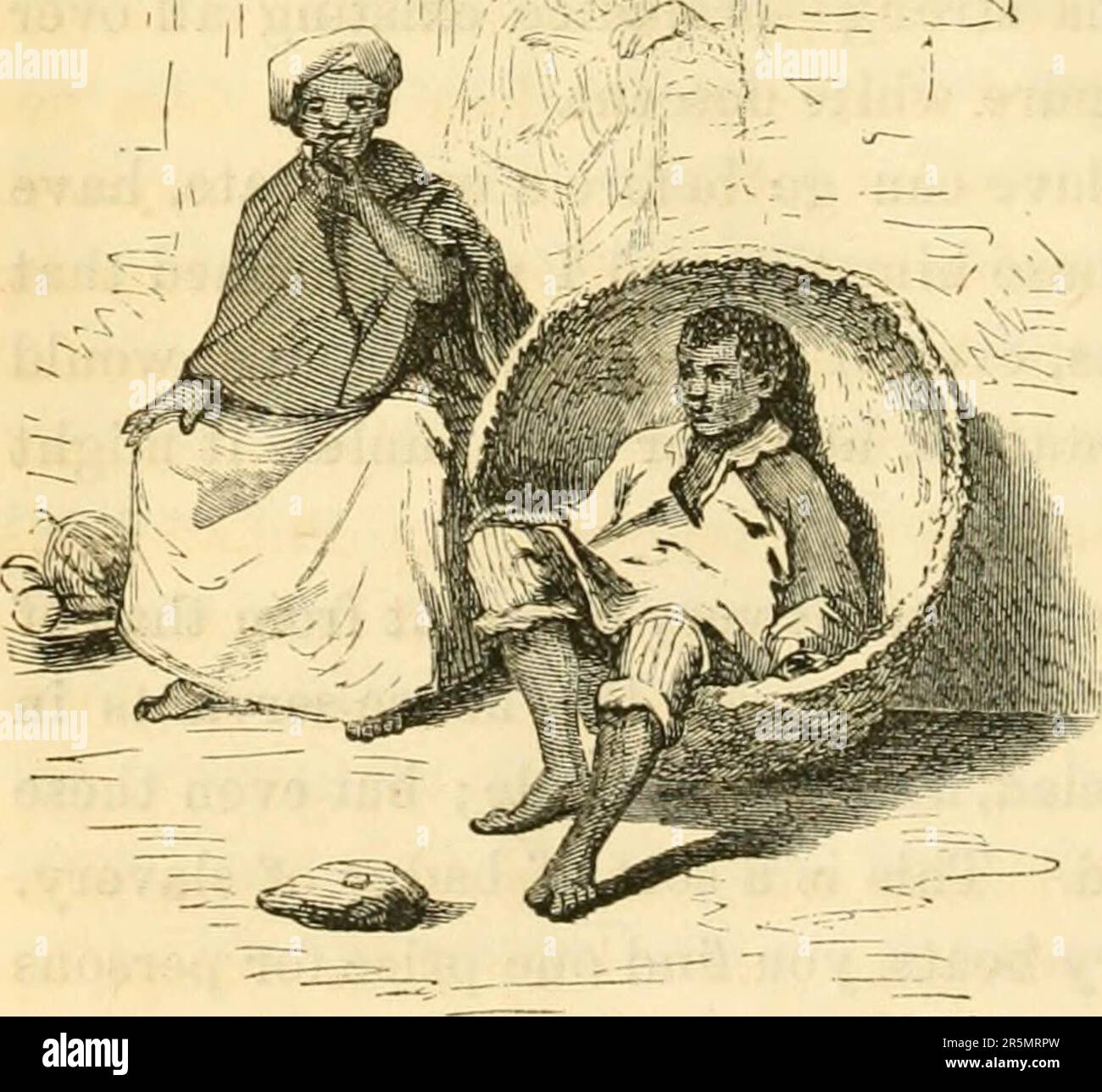 "Brazil and the Brazilians : portrayed in historical and descriptive ...