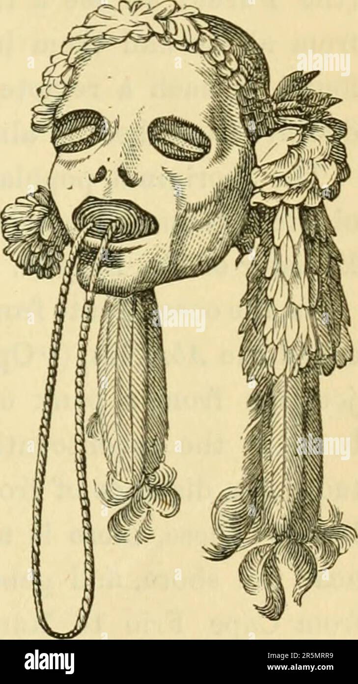 "Brazil and the Brazilians : portrayed in historical and descriptive ...
