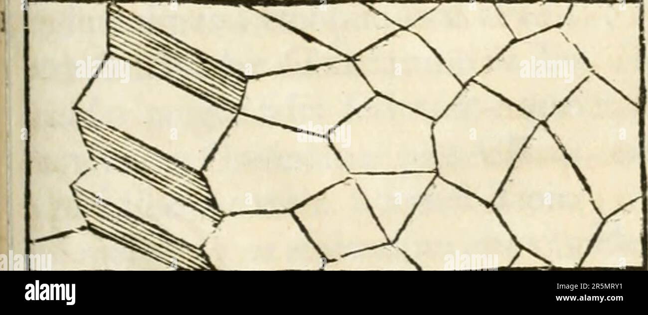 Raphaelis Fabretti Gasparis F. Vrbinatis De columna Traiani syntagma ...