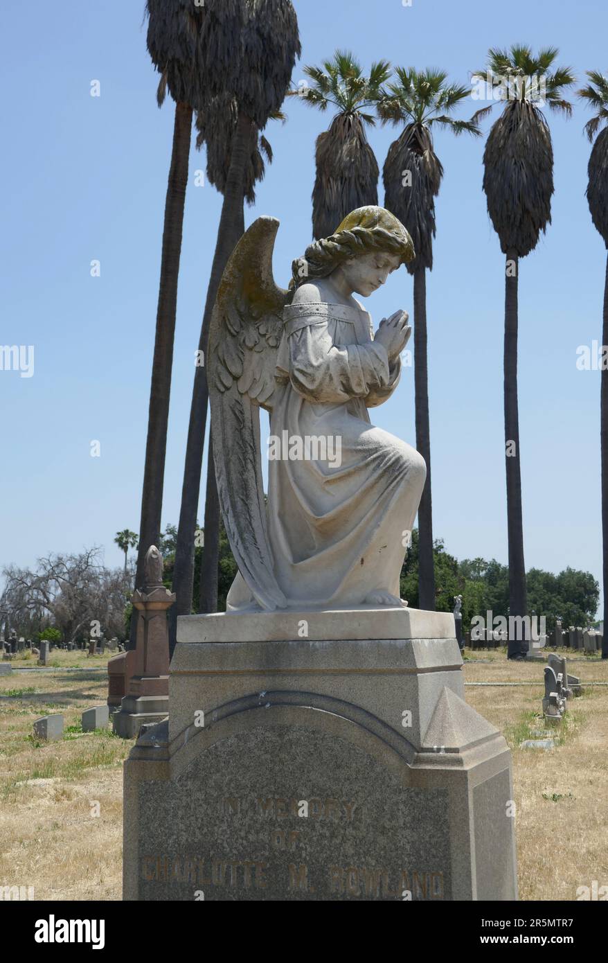 Los Angeles, California, USA 3rd June 2023 Angel Grave Stone with Palm ...
