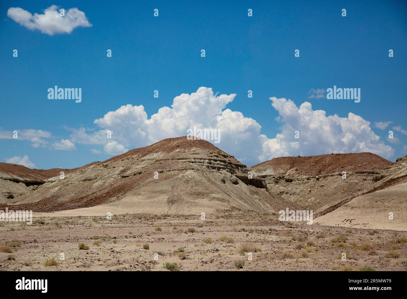 May 21, 2023 - CA-127, California, U.S. - CA-127 Highway runs through ...