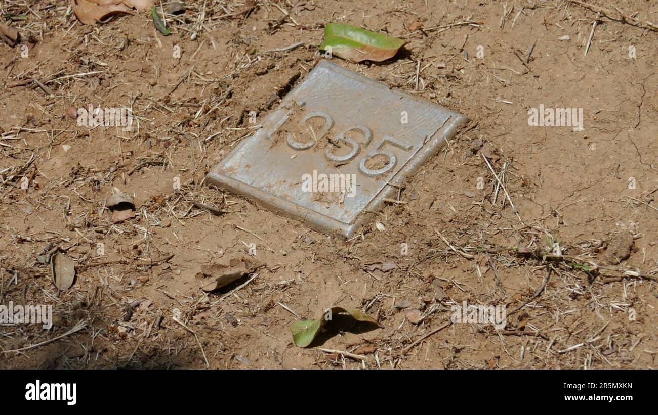 Los Angeles, California, USA 3rd June 2023 Actress Greta Meyer Grave at ...