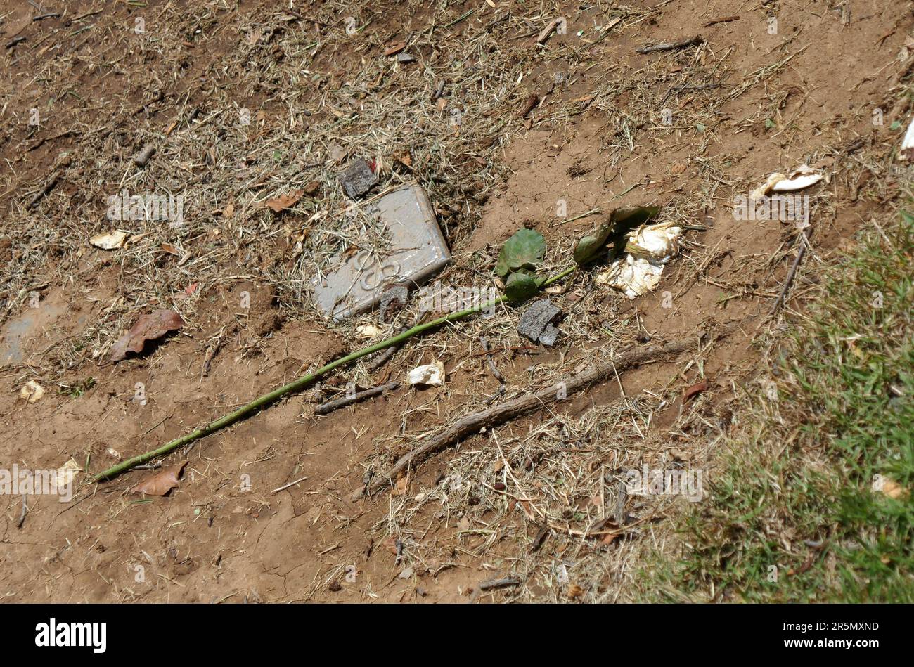 Los Angeles, California, USA 3rd June 2023 1968 Graves at Los Angeles ...