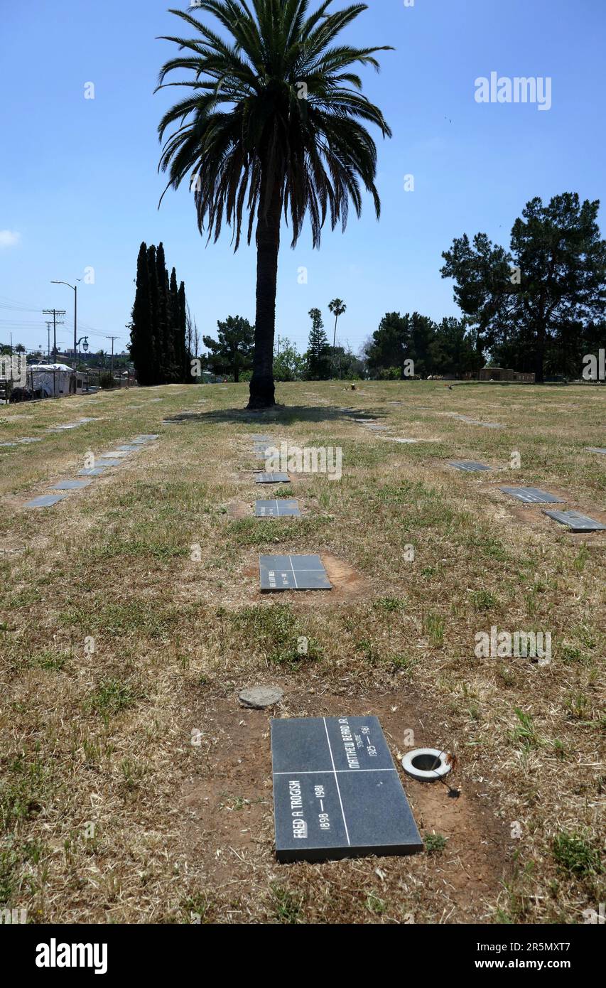 Los Angeles, California, USA 3rd June 2023 Actor Matthew 'Stymie' Beard ...