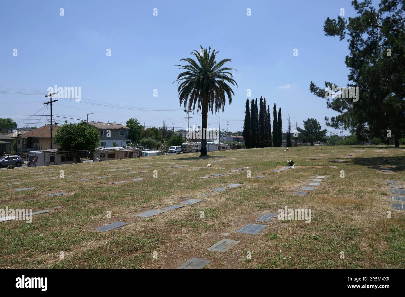 Los Angeles, California, USA 3rd June 2023 Actor Matthew 'Stymie' Beard ...