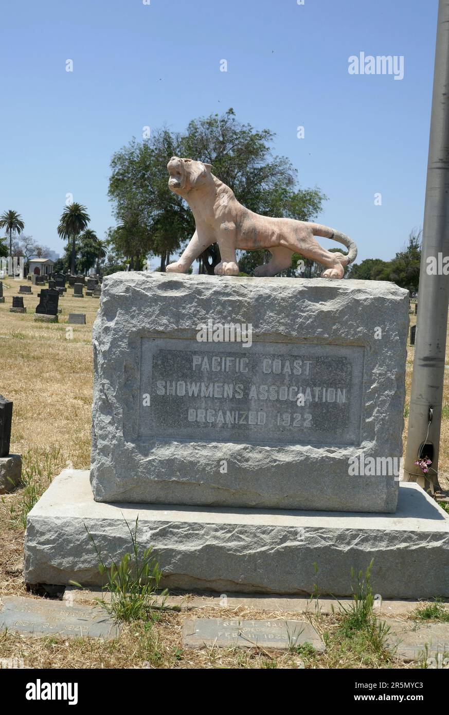 Los Angeles, California, USA 3rd June 2023 Tiger at Circus Performers ...
