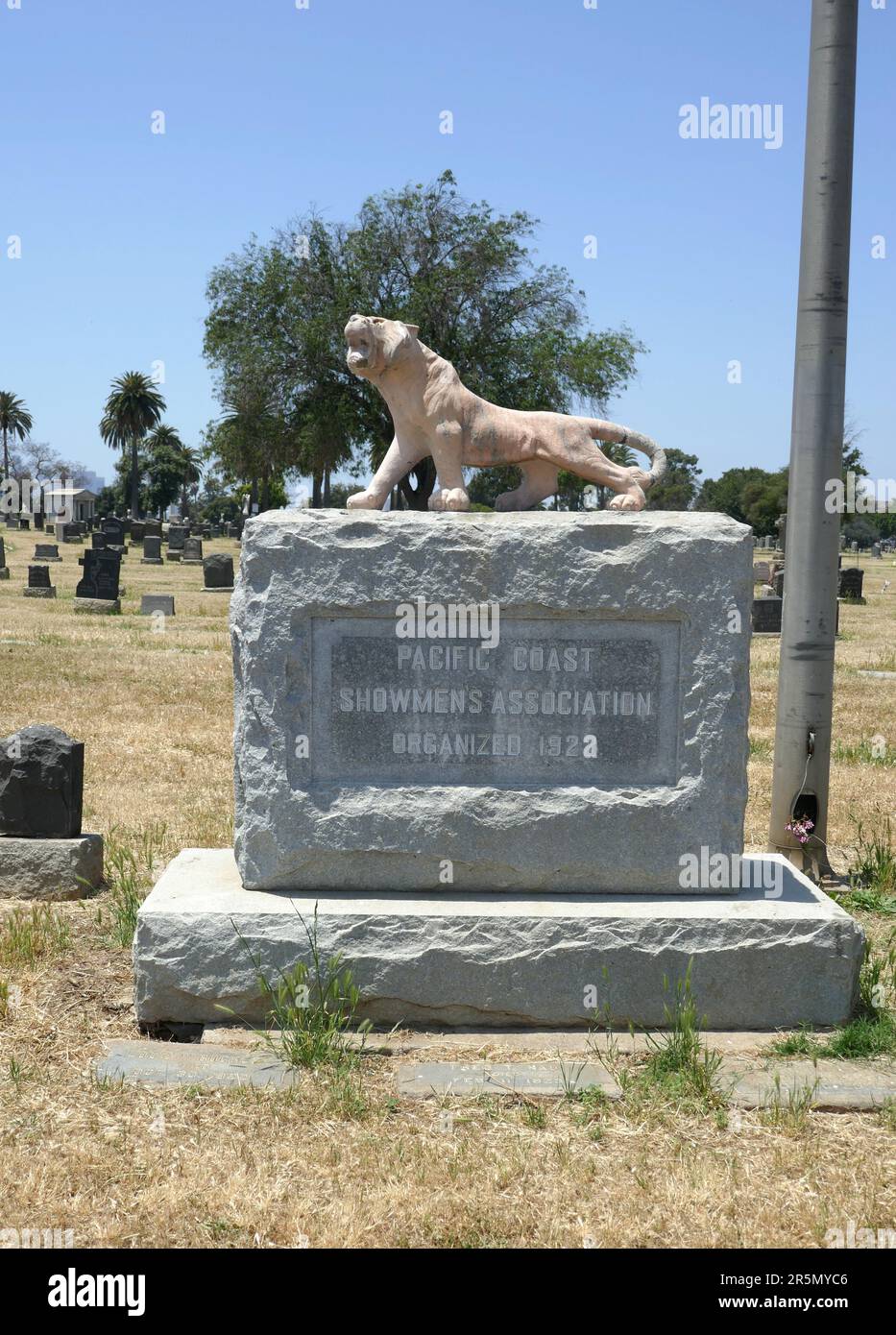 Los Angeles, California, USA 3rd June 2023 Tiger at Circus Performers ...