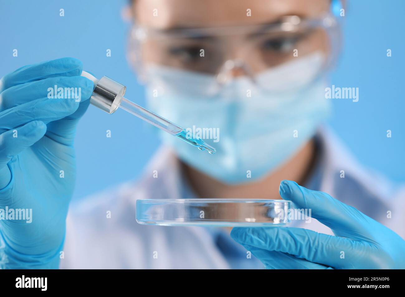 Scientist dripping liquid from pipette into petri dish on light blue ...