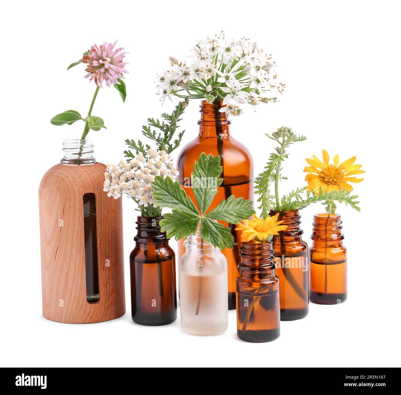 Many bottles of essential oils and different wildflowers on white ...