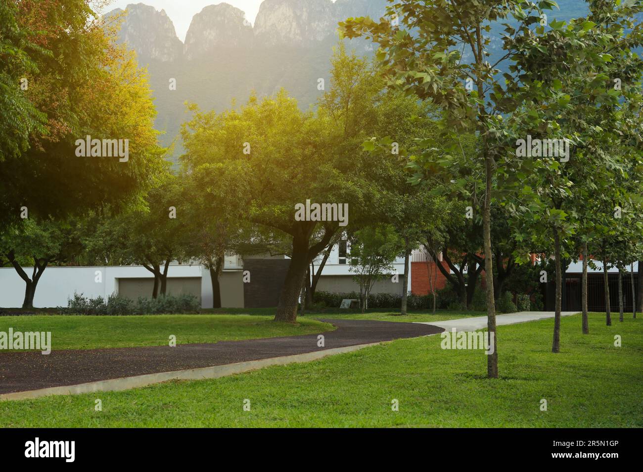 Beautiful view of green park with pathway Stock Photo - Alamy