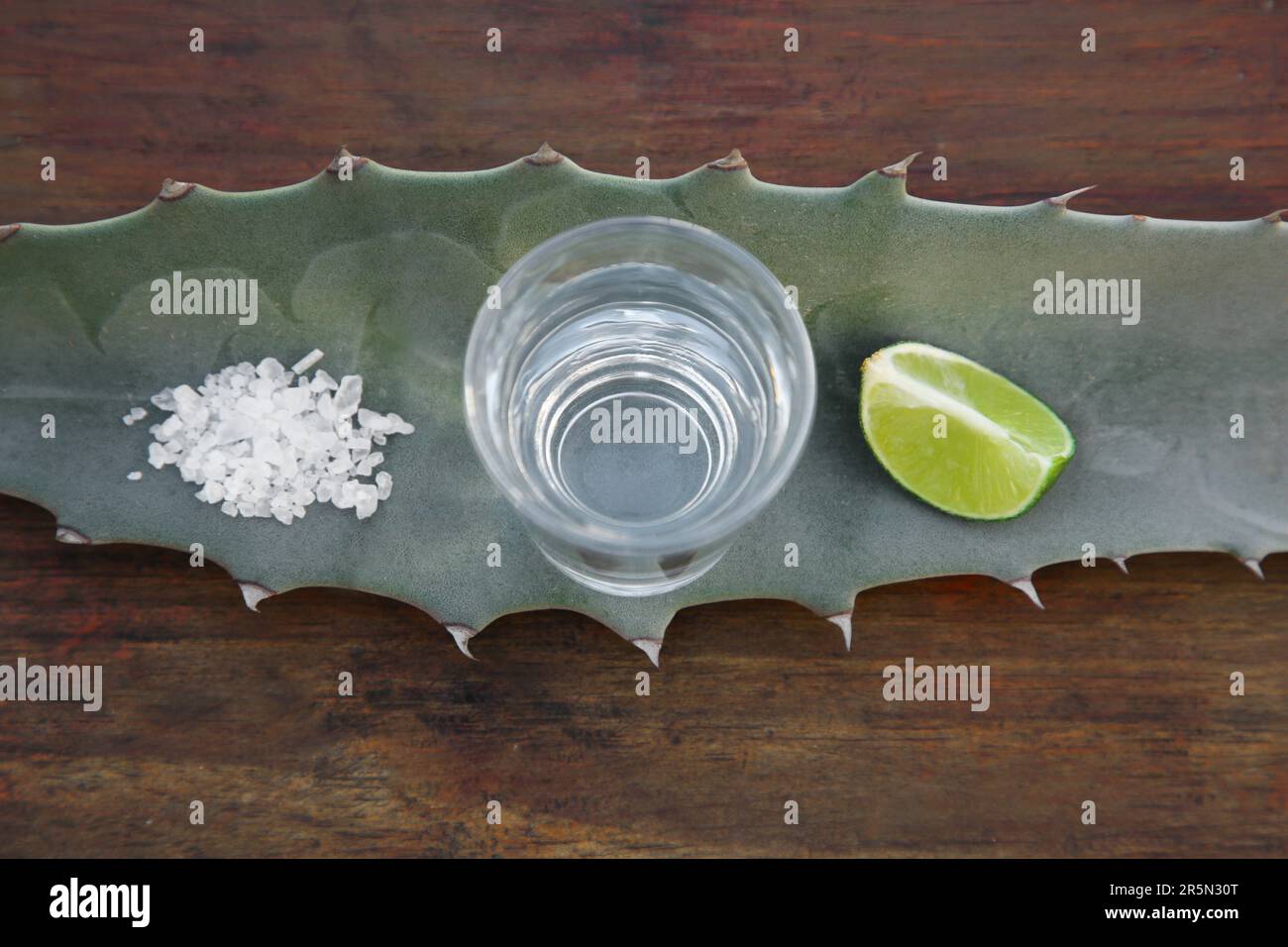 Mexican tequila shot, salt, lime slice and green leaf on wooden table ...