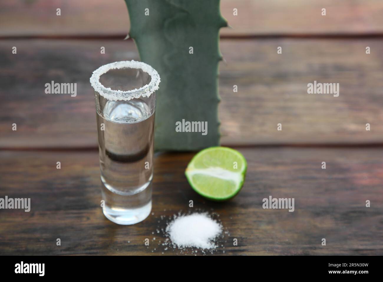 Mexican tequila shot, salt, lime and green leaf on wooden table ...