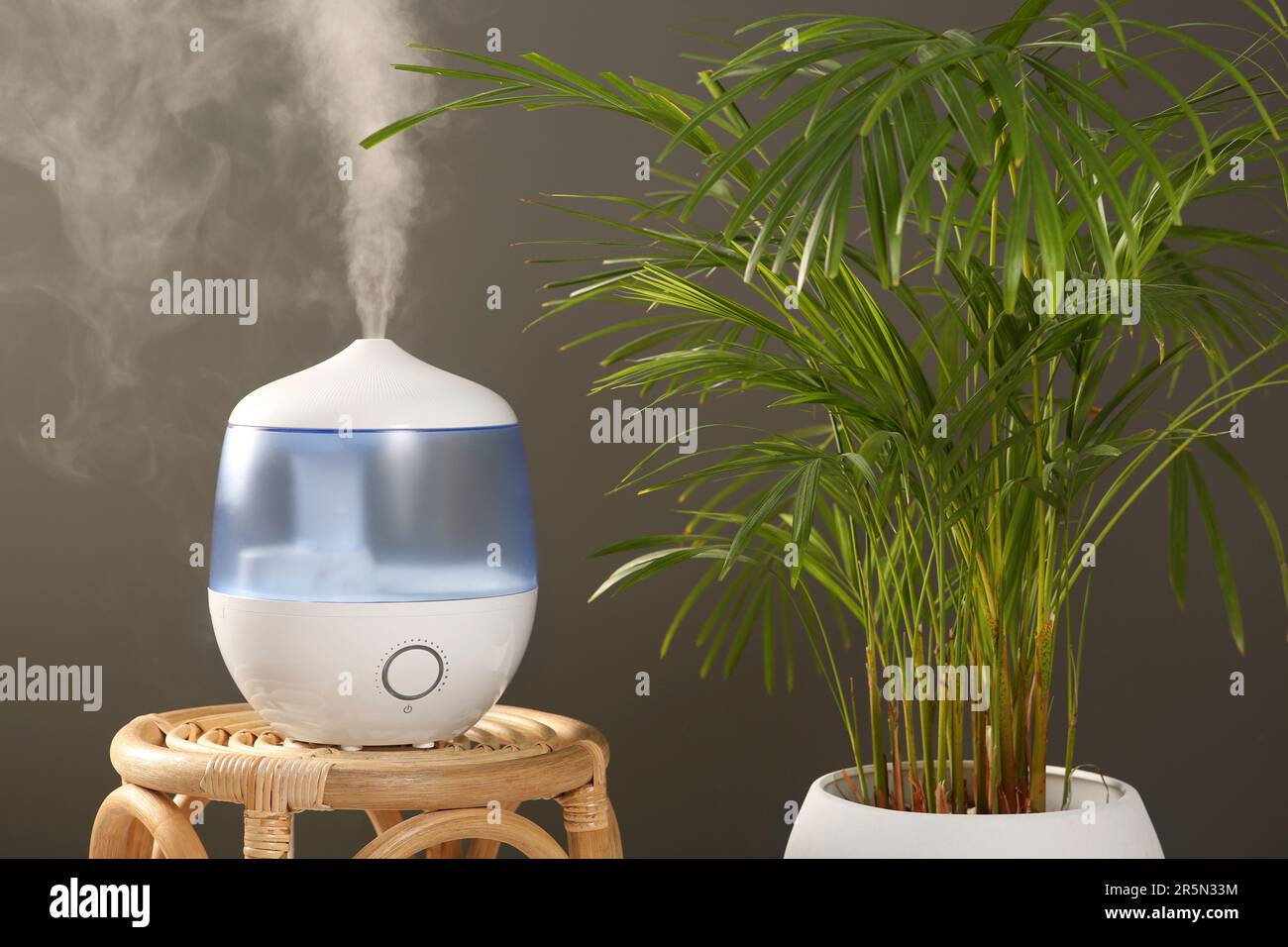 Air humidifier on wicker table near green houseplant against grey wall ...