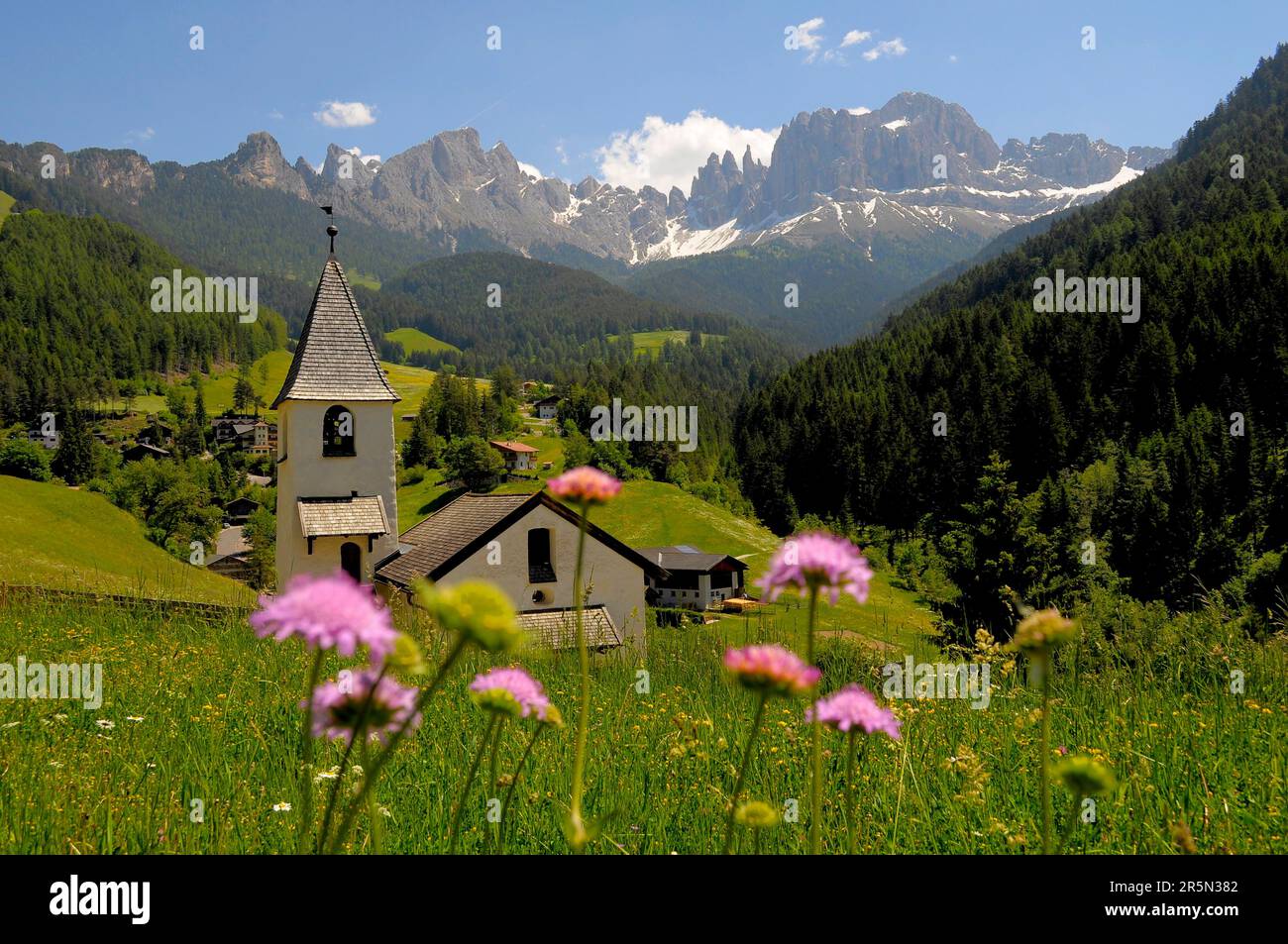 South Tyrol, Vajolet Towers, Tiers in the direction of the Catinaccio ...